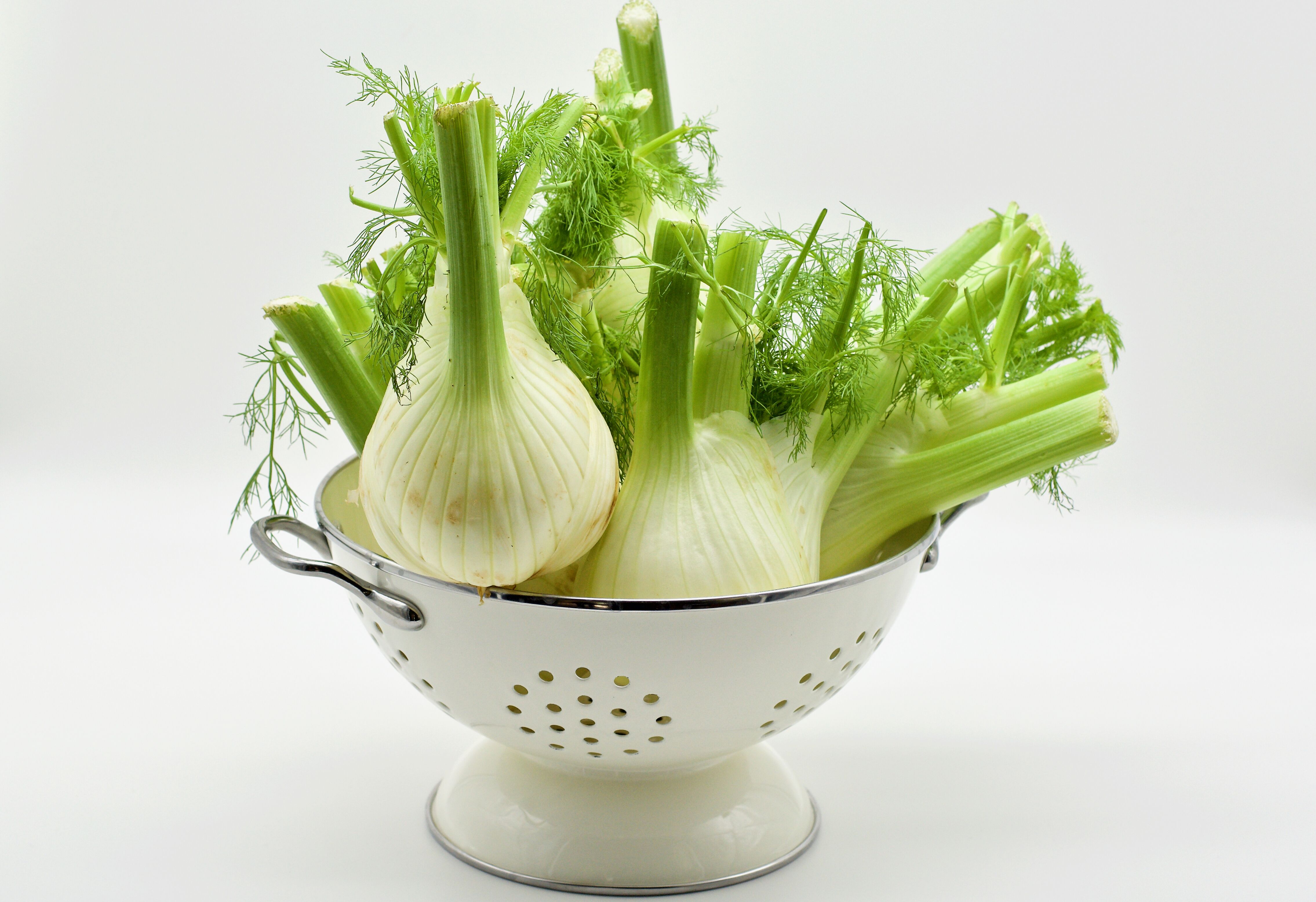 Rezept-Tipp: Ein Fenchel für alle Fälle — Slow Food Deutschland