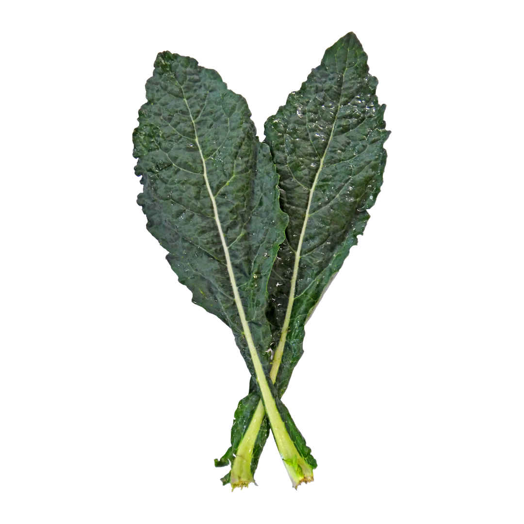 Warenkunde Schwarzkohl — Slow Food Deutschland