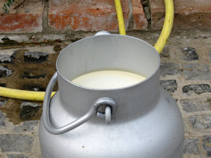 Rohmilch — Slow Food Deutschland